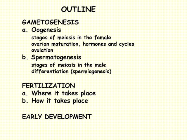 Gametogenesis | PPTX