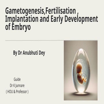 Gametogenesis , Fertilisation , Implantation and Early Development of ...