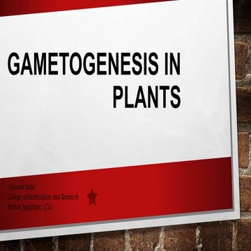 Gametogenesis in plants | PPTX