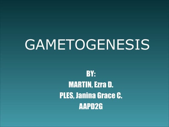 Gametogenesis and fertilization | PPTX