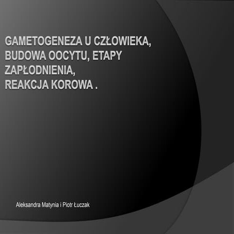 Gametogeneza 1 (2) | PPTX | Infertility | Reproductive Health
