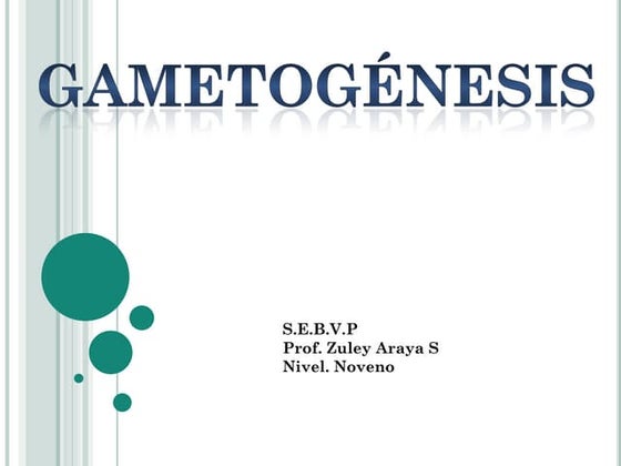 Gametogenesis | PPTX | Infertility | Reproductive Health