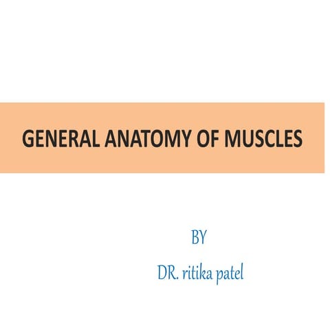 anatomy of muscle for all general muscle | PPT