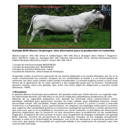 Ganado bon blanco orejinegro | PDF