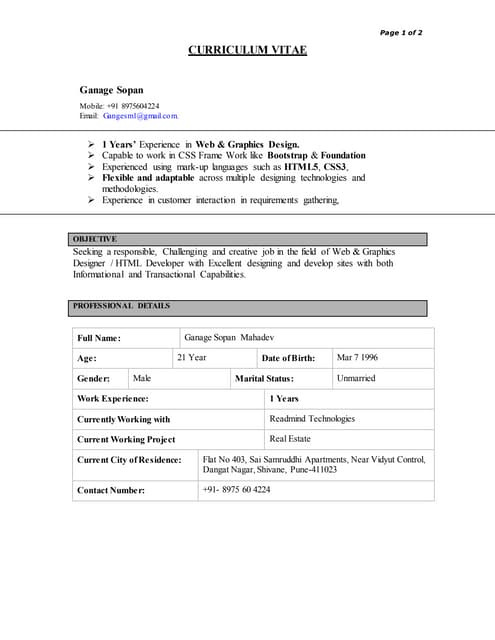 Mohsin shoukat cv | PDF