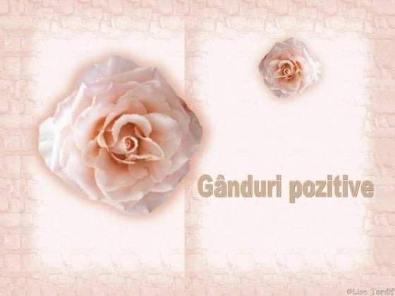 Albert Einstein Ganduri Si Vorbe | PPS