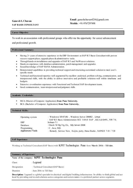 Sap CV | PDF