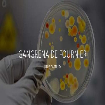 Gangrena de Fournier signos y sintomas, bacterias relacionadas | PPTX
