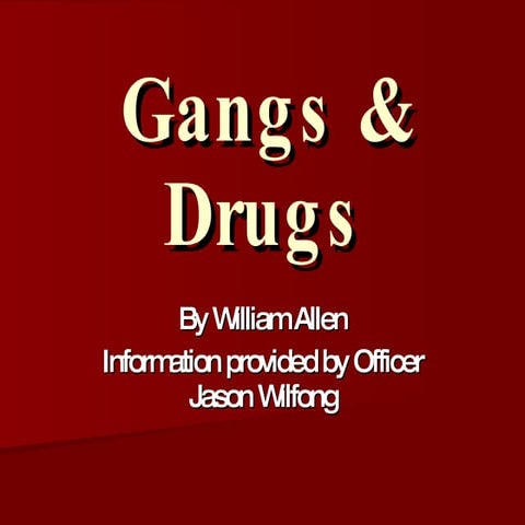 Gangs & Drugs | PPT