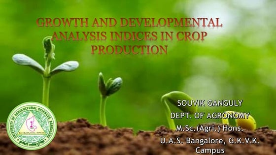 Crop growth analysis | PPTX
