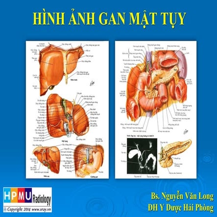 Gan Mật Tụy.pdf