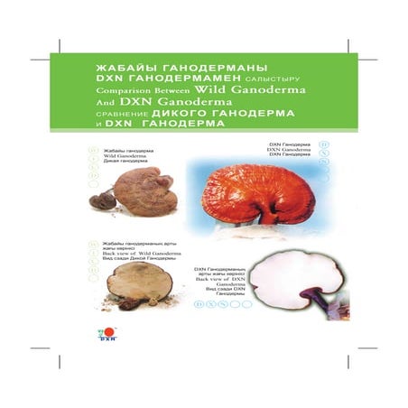 DXN Ганодерма | PDF