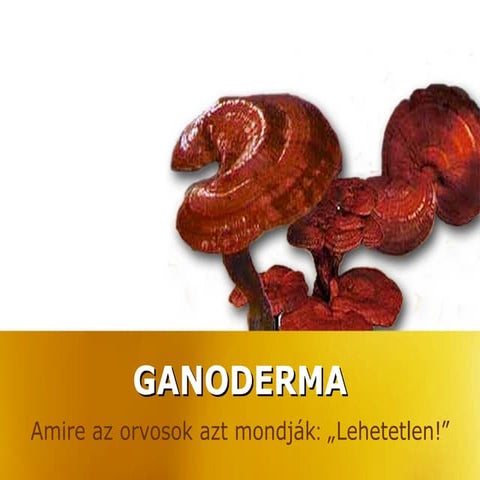 Ganoderma fuzet 1 | PDF