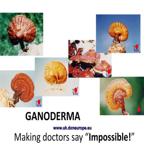 Ganoderma presentation - Ganoderma UK | PDF