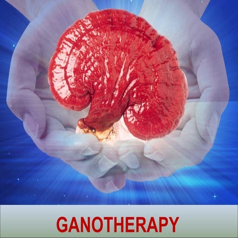 Ganotherapy : How DXN Ganoderma works | PPT