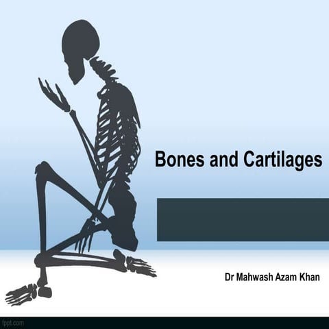 General Anatomy of bones and cartilage ppt | PPT