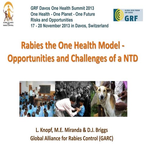Rabies the One Health Model - Opportunities and Challenges of a ...