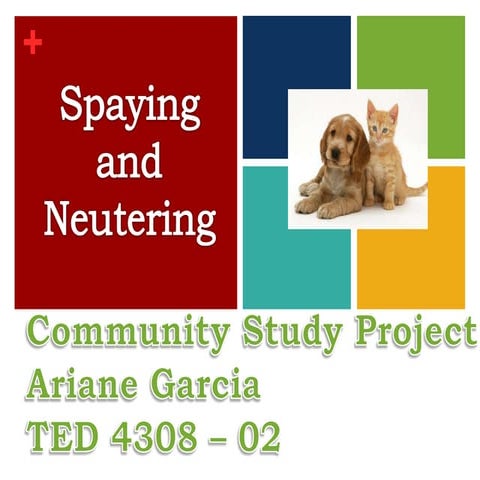 Animal Shelters | PPTX | Veterinary Medicine | Pets