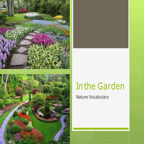 Garden.pptx