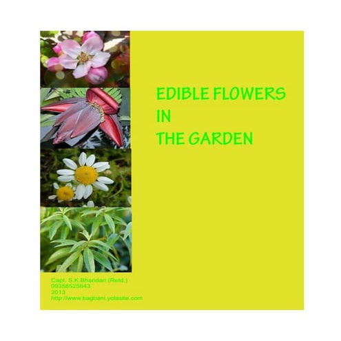 Garden edible flowers in the garden | PDF