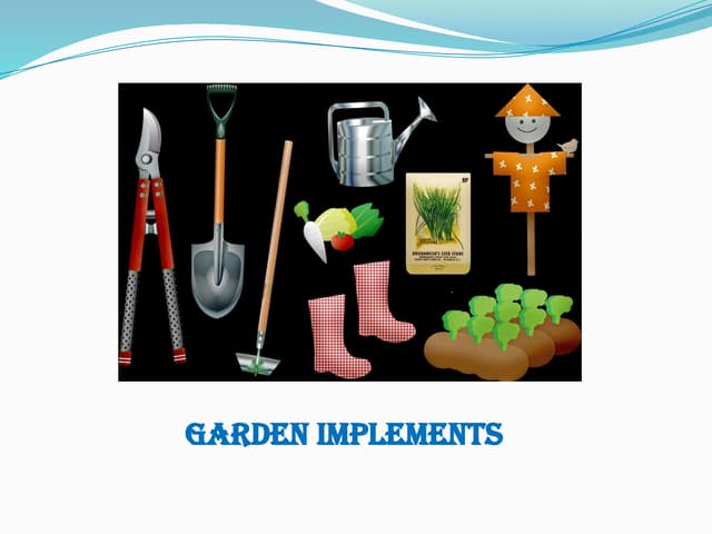 TLE 6 - AGRICULTURE Tools and Equipment for Plant Propagation.pptx