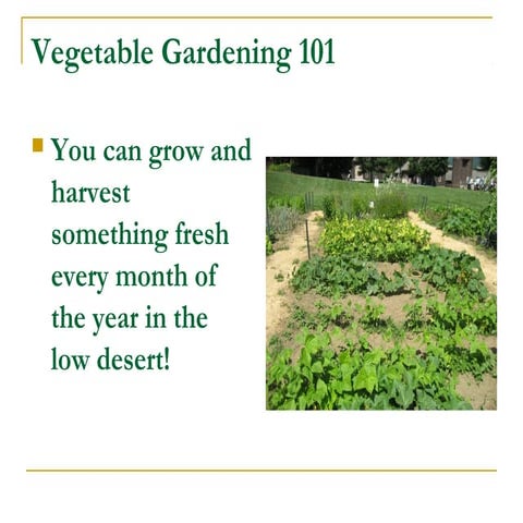 Gardening101 | PPT