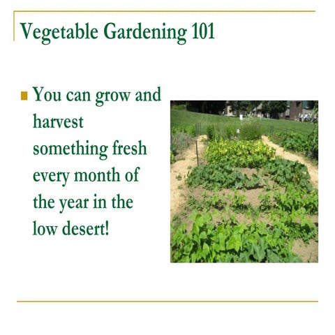 gardening101.ppt | Agriculture | Industries