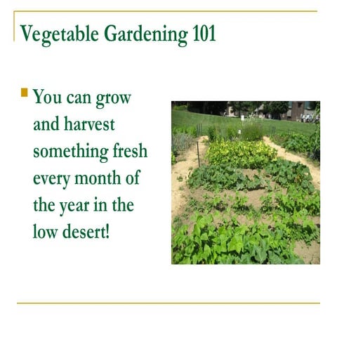 vegetable gardening notes for Botany .ppt
