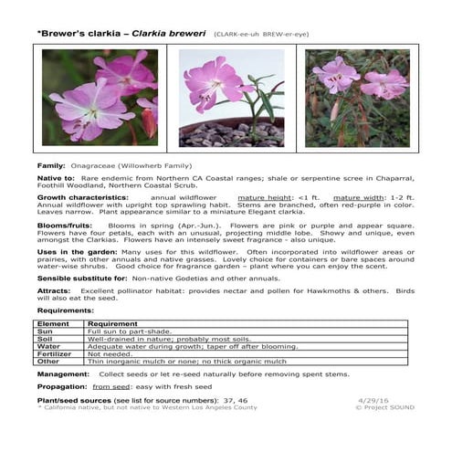 Gardening sheet clarkia breweri | PDF