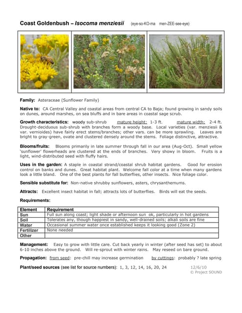 Sambucus nigra 'variegata' label | PDF