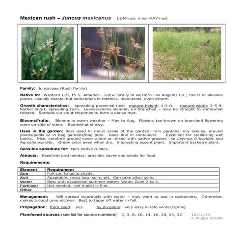 Gardening sheet juncus textilis | PDF