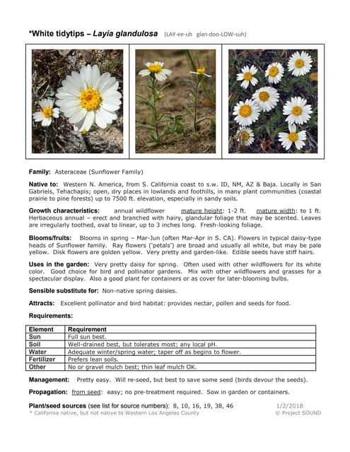 11 19 Forcing Bulbs | PPT | Gardening | Home & Garden