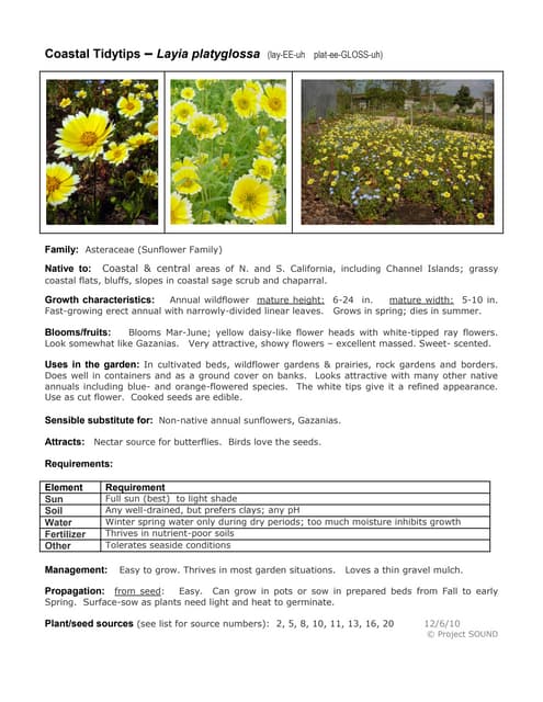 Gardening sheet brodiaea jolonensis | PDF