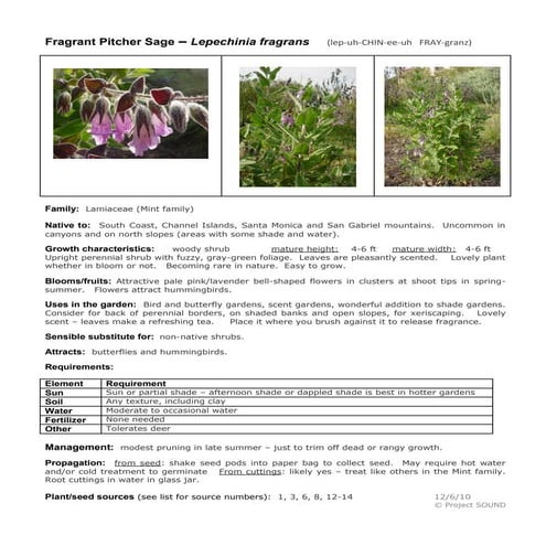 Gardening sheet lepechinia fragrans | PDF