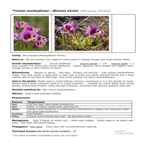 Gardening sheet mimulus tricolor | PDF
