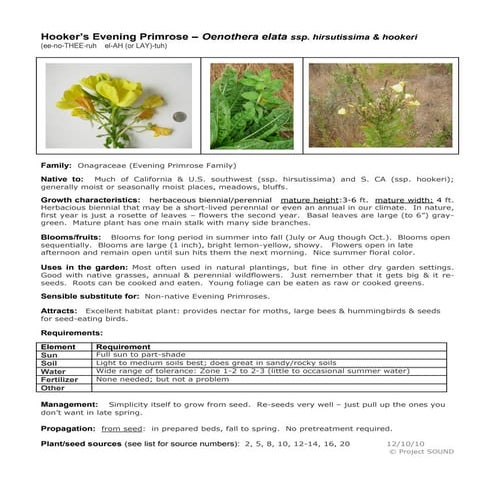 Gardening sheet juncus textilis | PDF