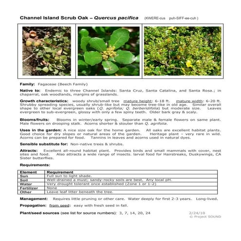 Gardening sheet quercus pacifica | PDF