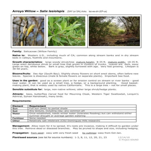 Gardening sheet salix lasiolepis | PDF