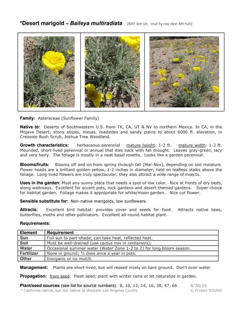 Gardening sheet clarkia breweri | PDF