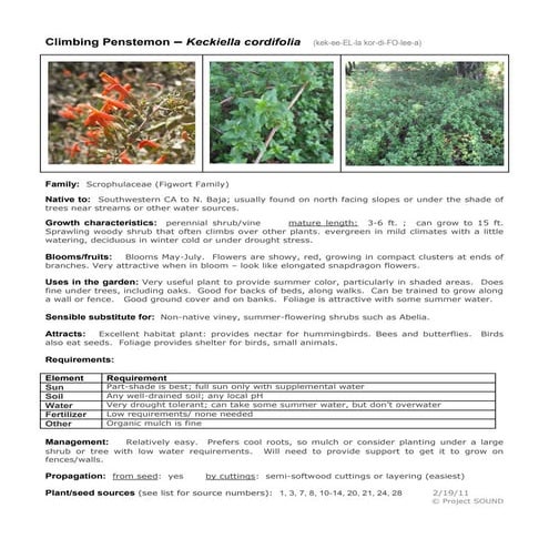 Gardening sheets silvery foliage | PDF