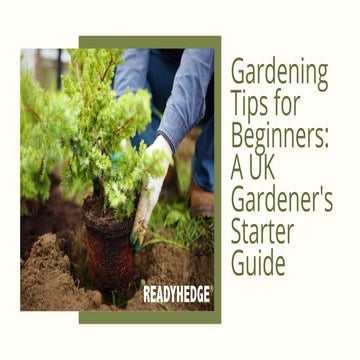 Gardening Tips for Beginners A UK Gardener's Starter Guide.pdf