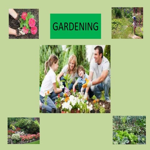 Gardening vocabulary | PPTX