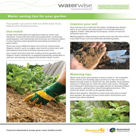 Water Wise Guide to Landscaping - South Africa | PDF