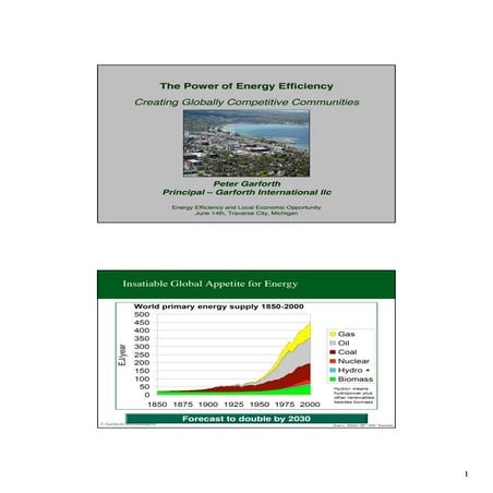 Peter Garforth: The Power of Energy Efficiency - Creating Globally ...