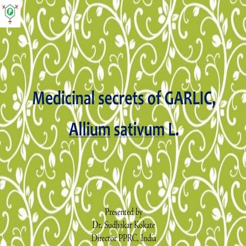 Garlic | PDF