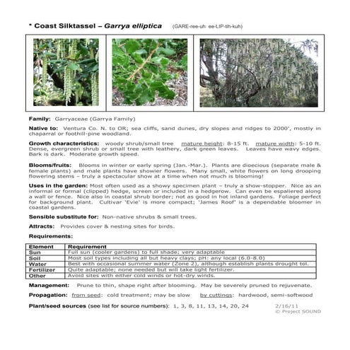 Garrya elliptica | PDF