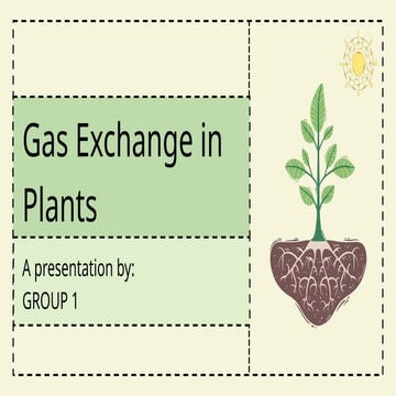 Gas-Exchange-in-Plants.pptx DISCOVER SCIENCE | PPTX