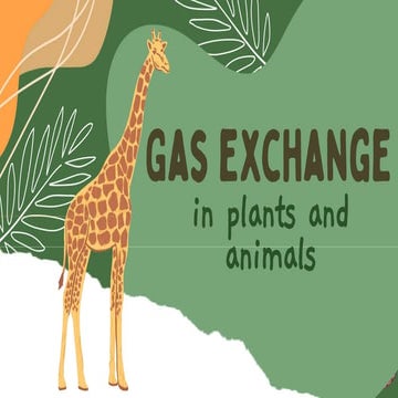 Gas-ExchangeS-in-Plants-and-Animals.pptx