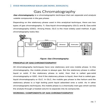 Gas Chromatography | PDF