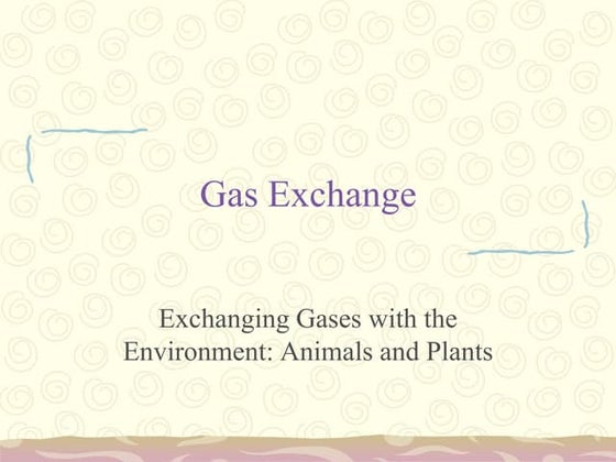 Gas-ExchangeS-in-Plants-and-Animals.pptx